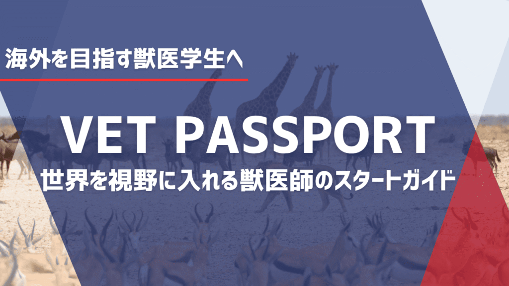 【連載】VET PASSPORT｜世界を視野に入れる獣医師のスタートガイド | MVA